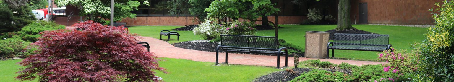 Blackboard/Online Learning Help and Support Page - PCCC